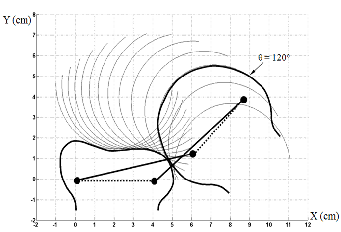 Knee graph2 – Professor Stuart Burgess